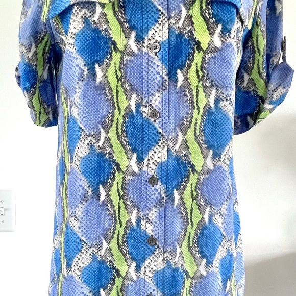 Equipment | Dresses | Equipment Silk Shirt Dress Python Print Size ...